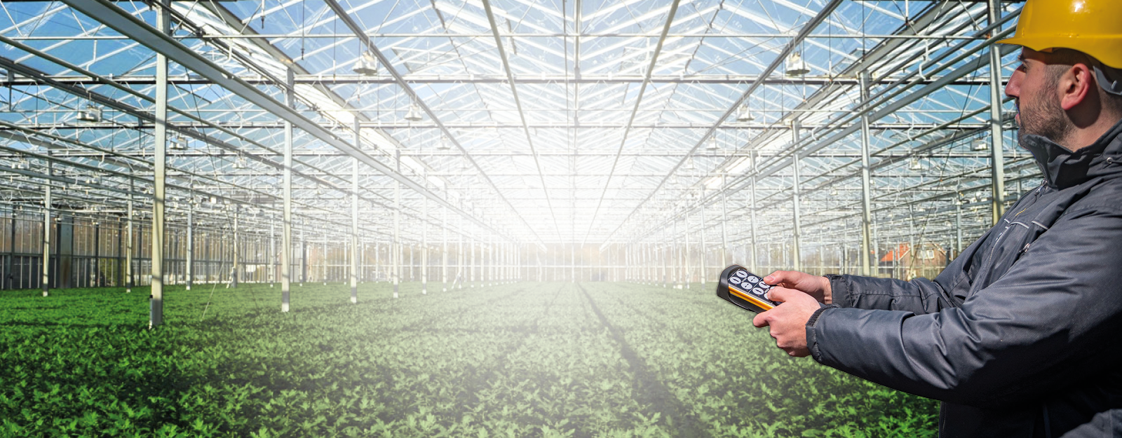 RADIO REMOTE CONTROL INSIDE A GREENHOUSE | Tele Radio